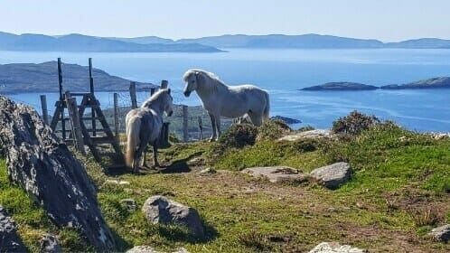 Hiking Ireland - Kerry Way Walking Tours - Hiking the Kerry Way