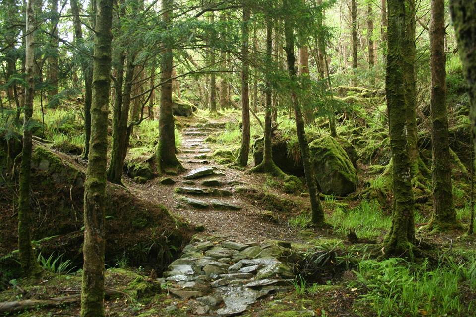 Beautiful Pictures of Ireland From Hikers (Part 1) - Hillwalk Tours ...