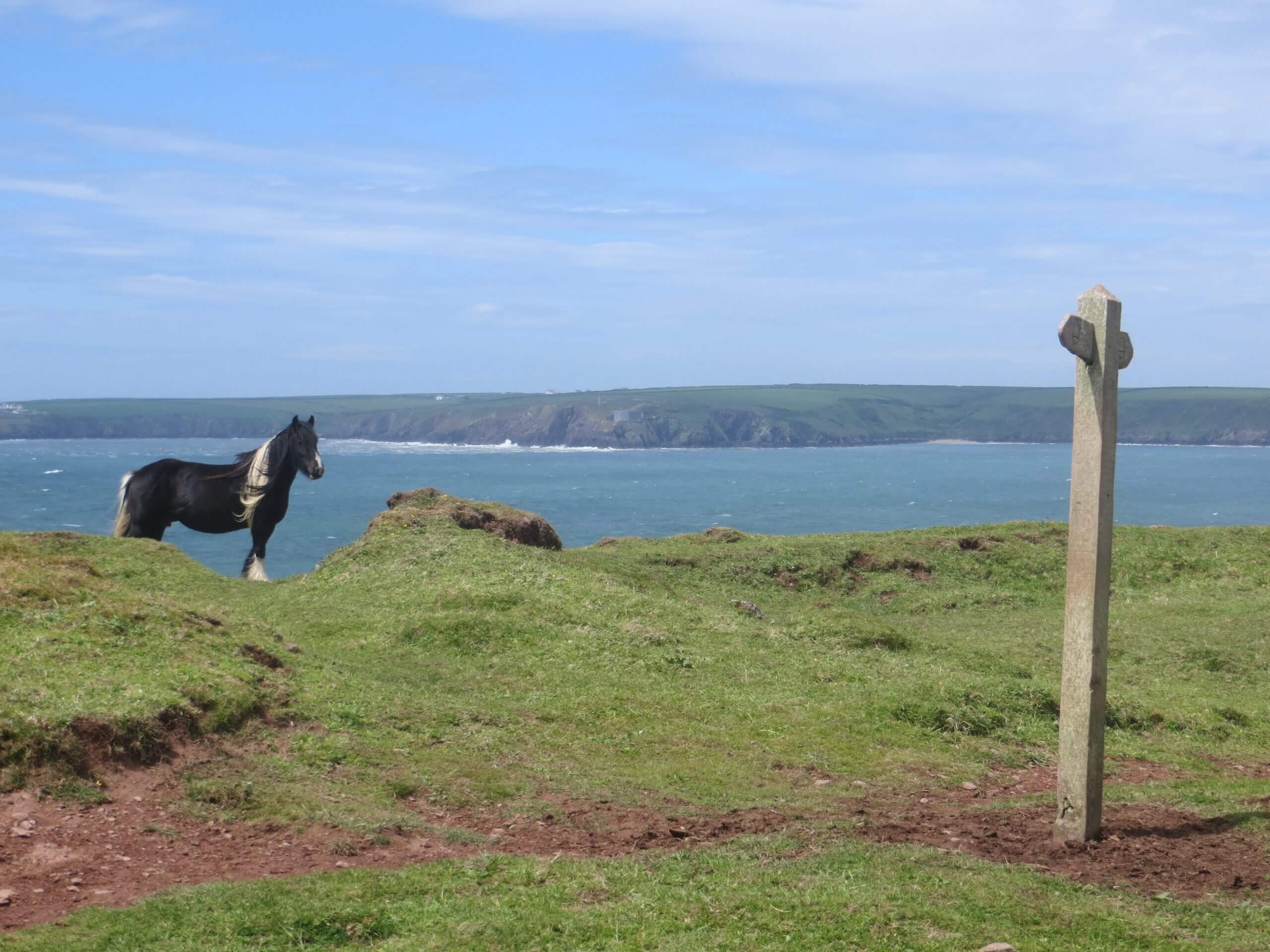 20 amazing things you need to know about Wales - Hillwalk Tours Self ...