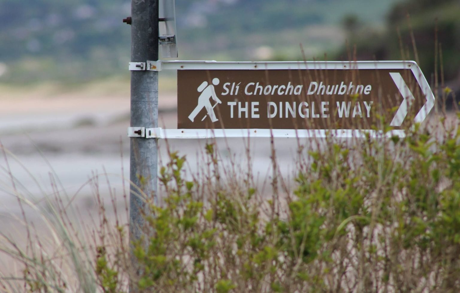 The Ultimate Guide to Hiking The Dingle Way - Hillwalk Tours