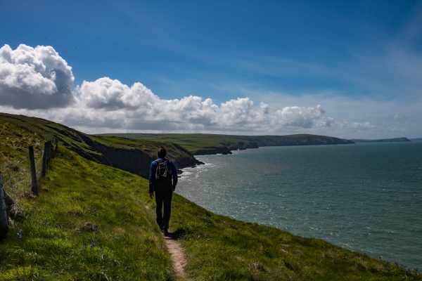 The Ultimate Guide to Hiking the Pembrokeshire Coast Path - Hillwalk Tours