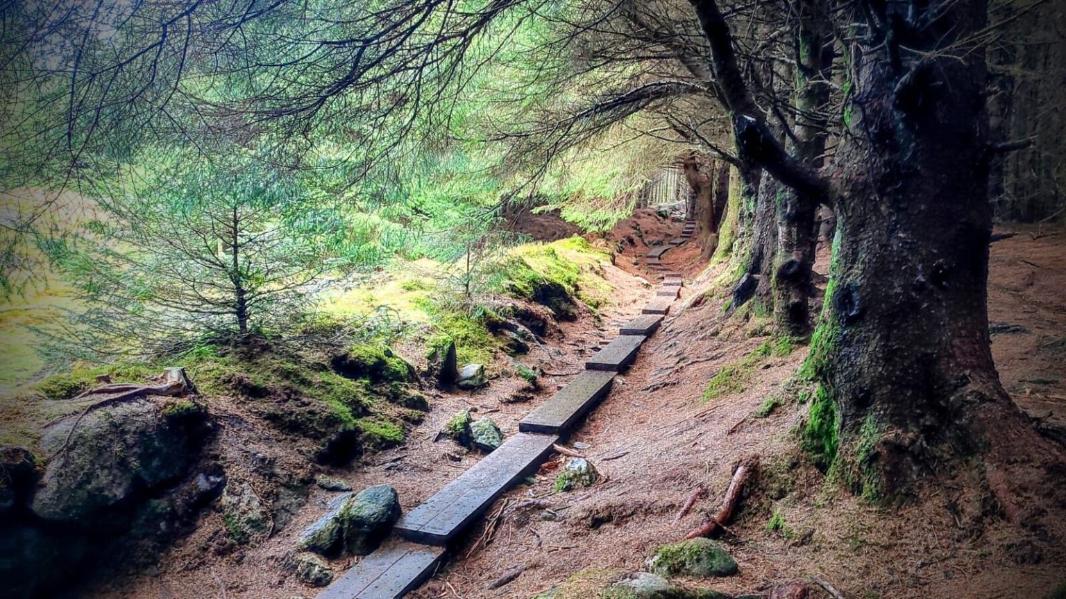 Ultimate Guide to hiking the Wicklow Mountains