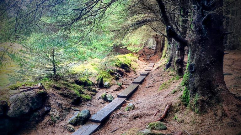 Ultimate Guide to hiking the Wicklow Mountains