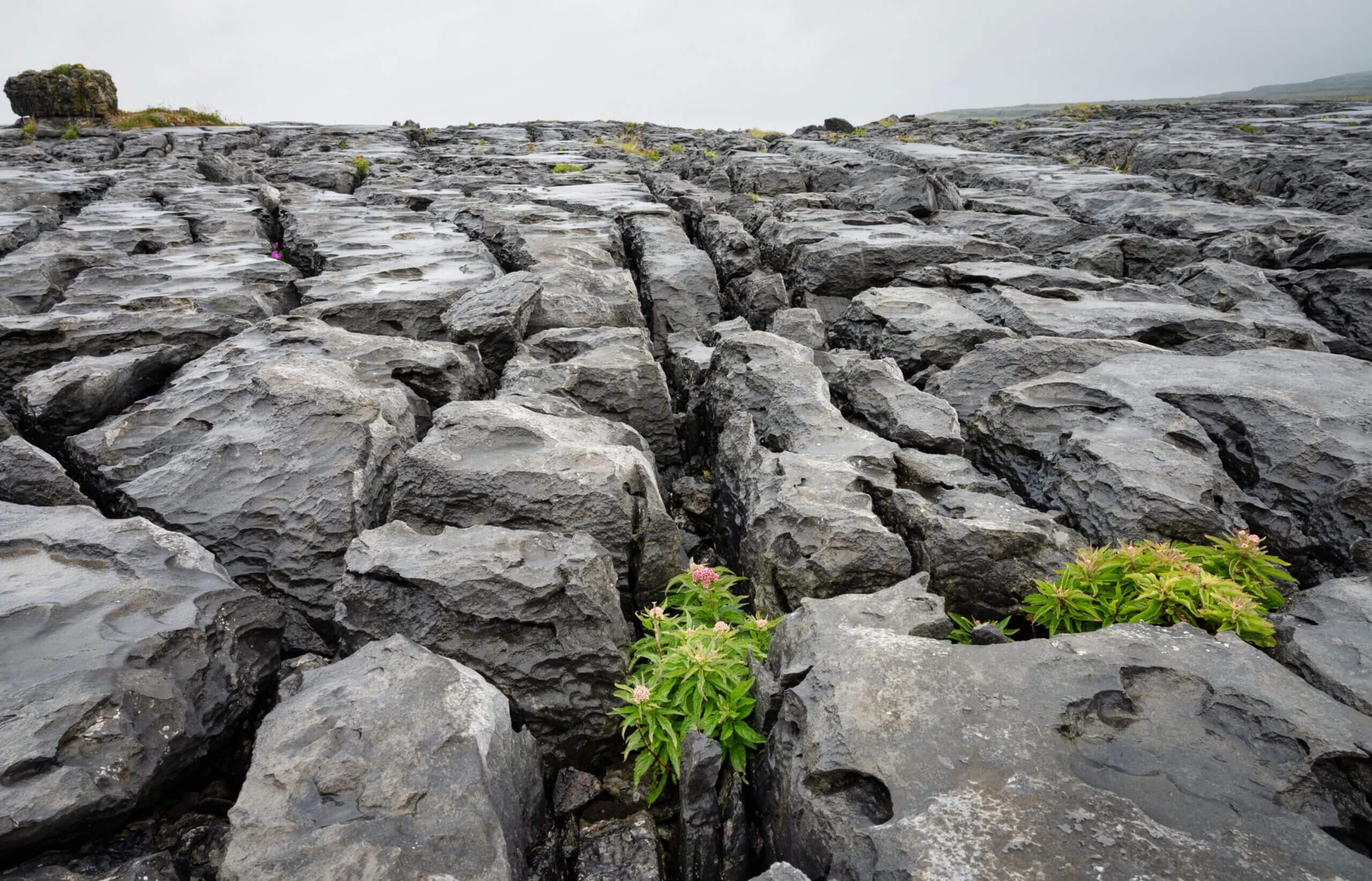 Ireland Walking Tours, 5 Day Burren Way & Cliffs of Moher Walking ...